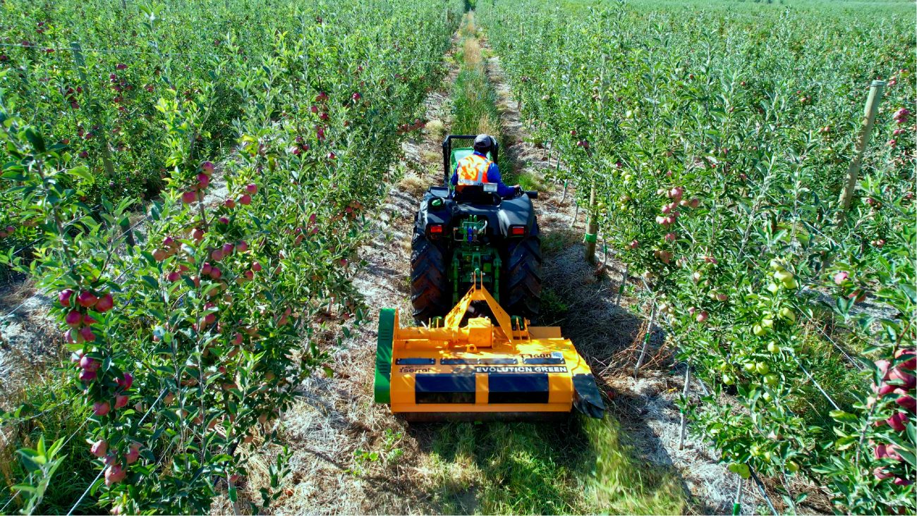Contract Mulching - Agricultural & Forestry Land Clearing